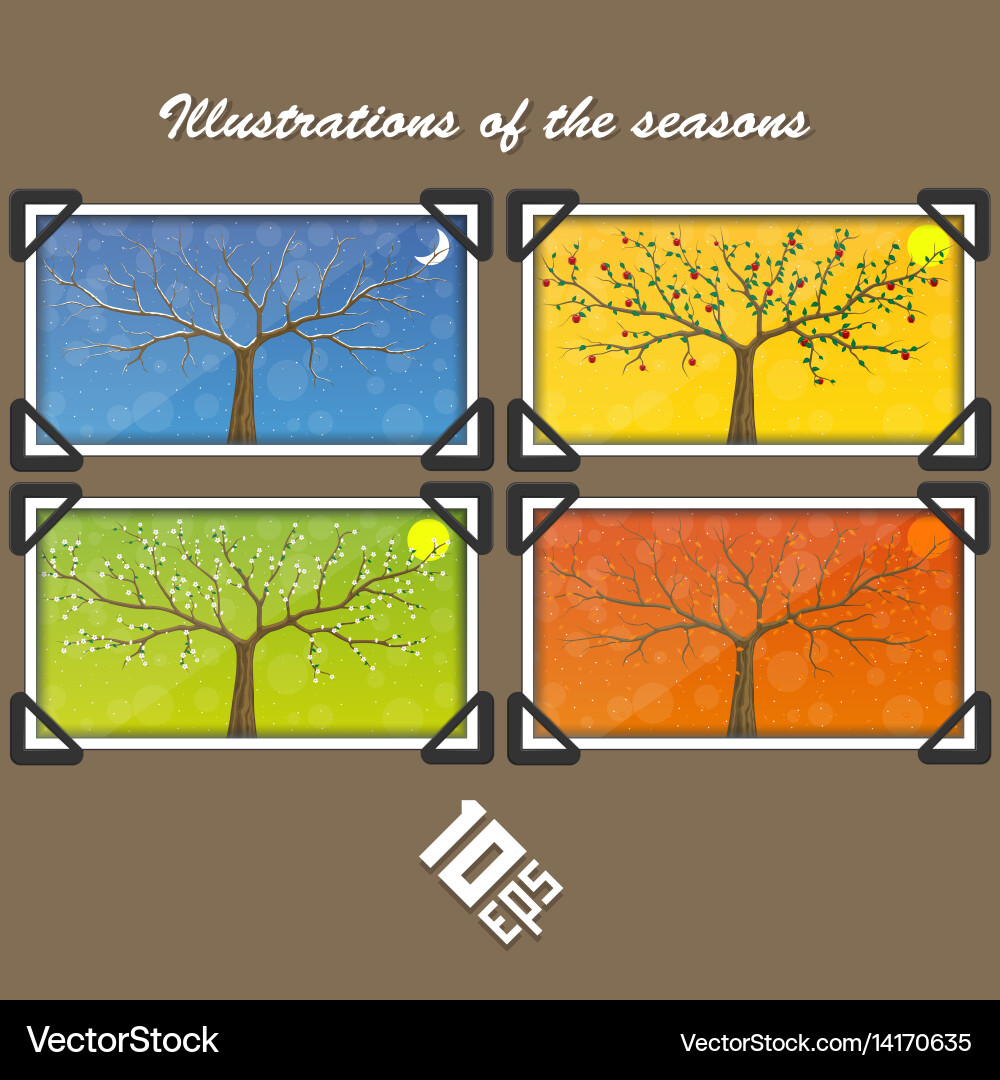 Seasons in the tree cover Royalty Free Vector Image