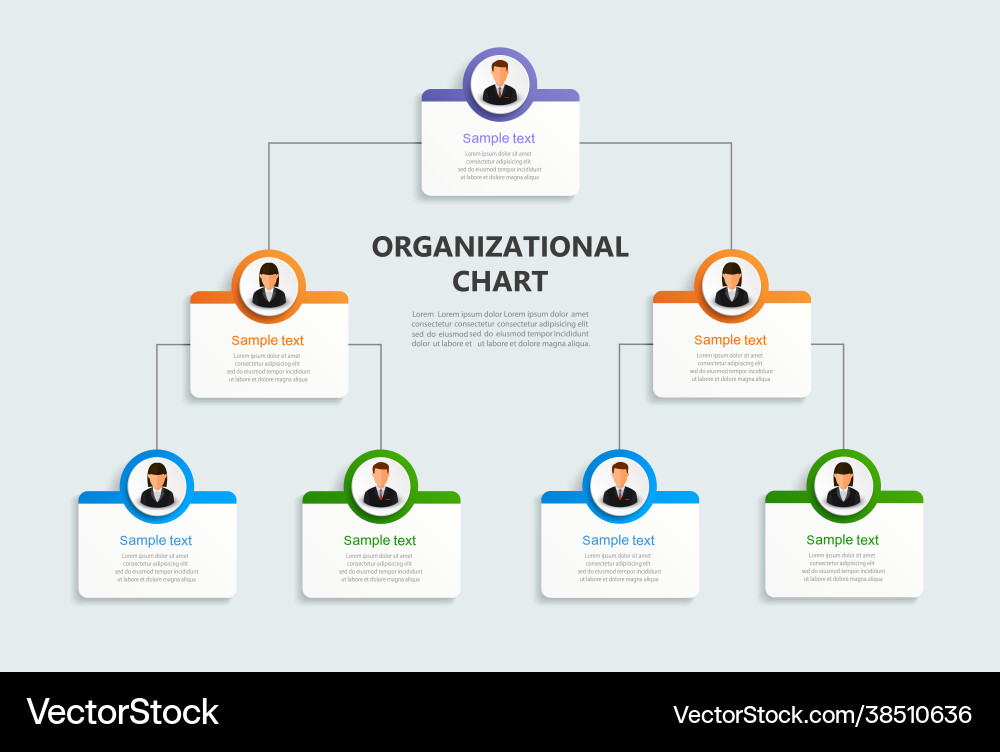 Business Organizational Chart Royalty Free Vector Image