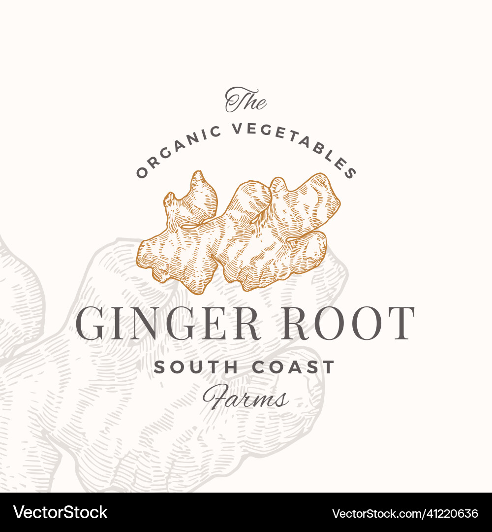 Ginger abstract sign symbol logo template Vector Image