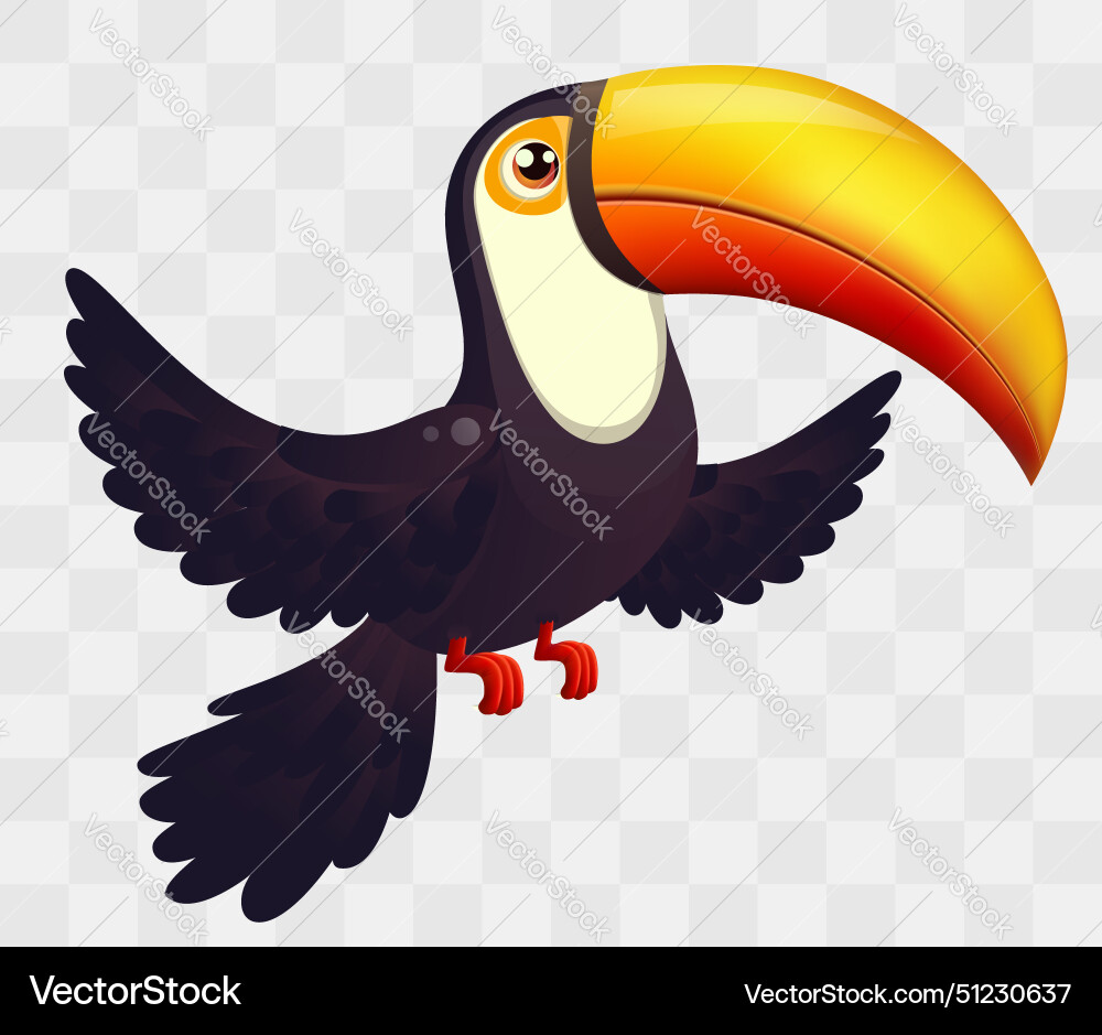 Colorful Toucan Bird Royalty Free Vector Image