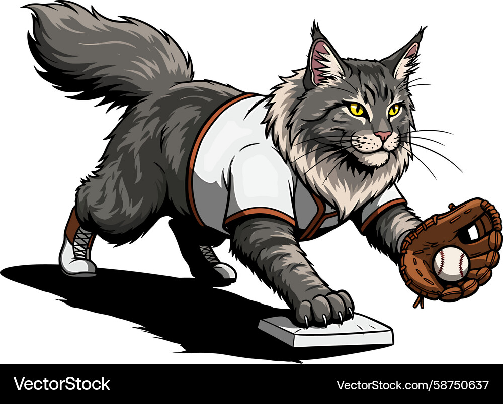 Maine Coon Cat Playing Baseball Royalty Free Vector Image