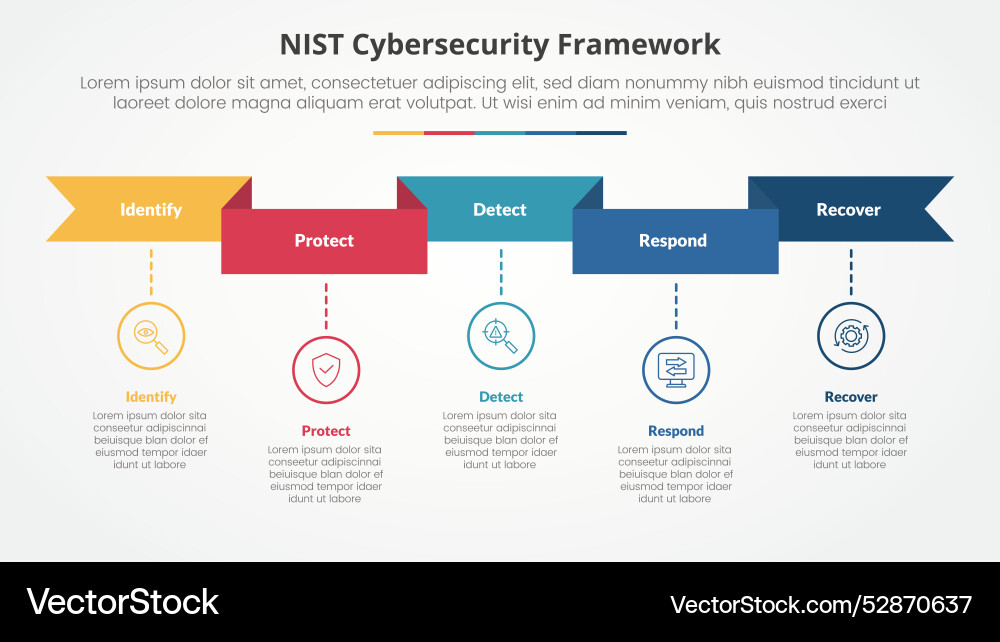 Nist cybersecurity framework infographic concept Vector Image
