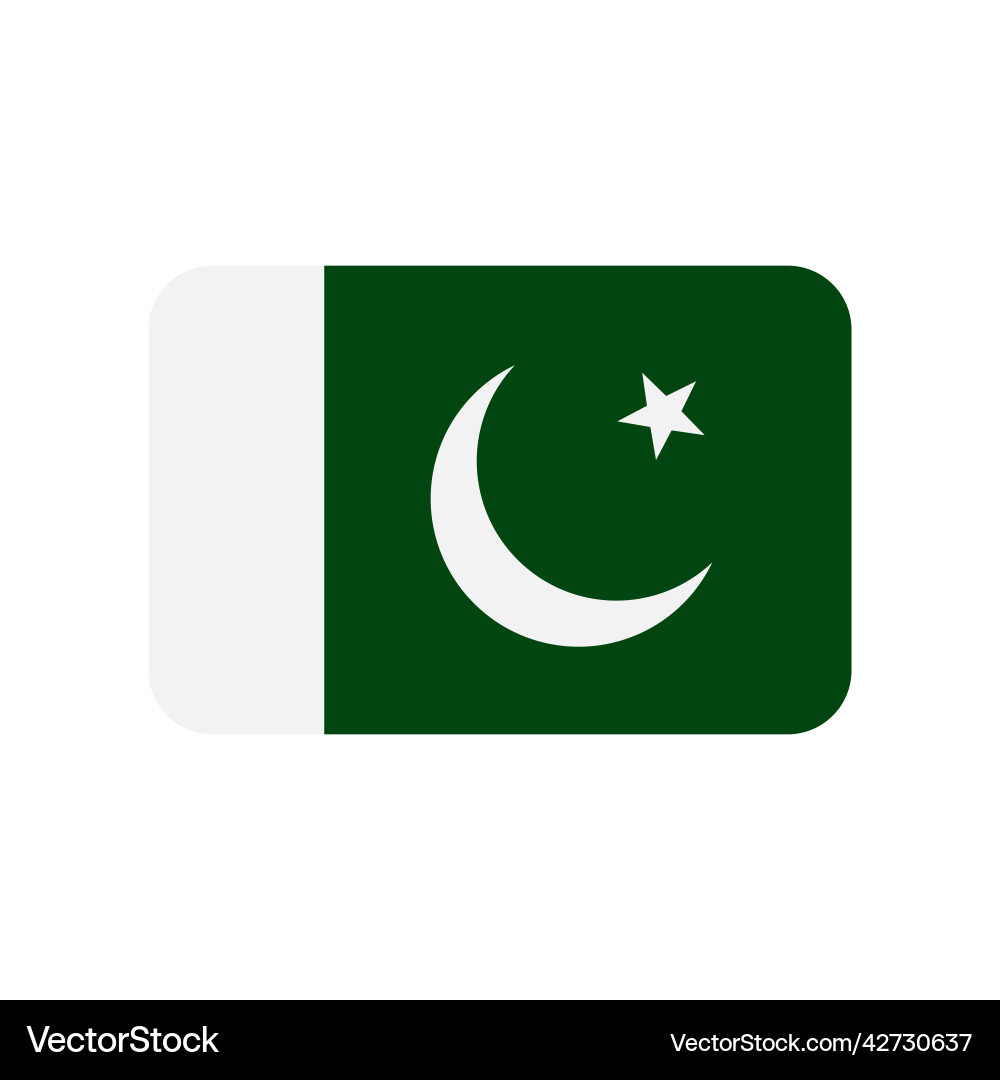 Pakistan flag icon on white background Royalty Free Vector
