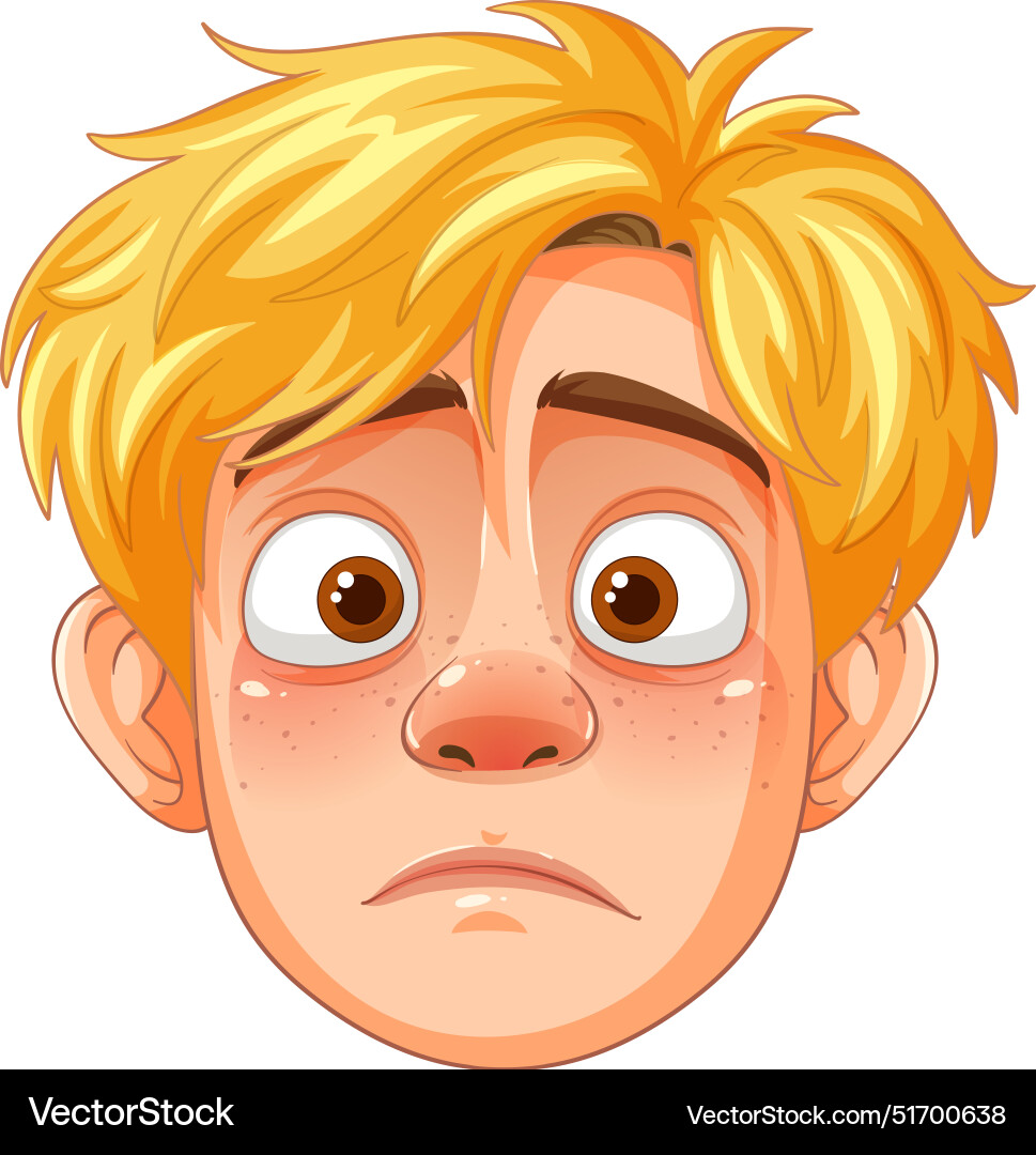 A cartoon boy with surprised face Royalty Free Vector Image