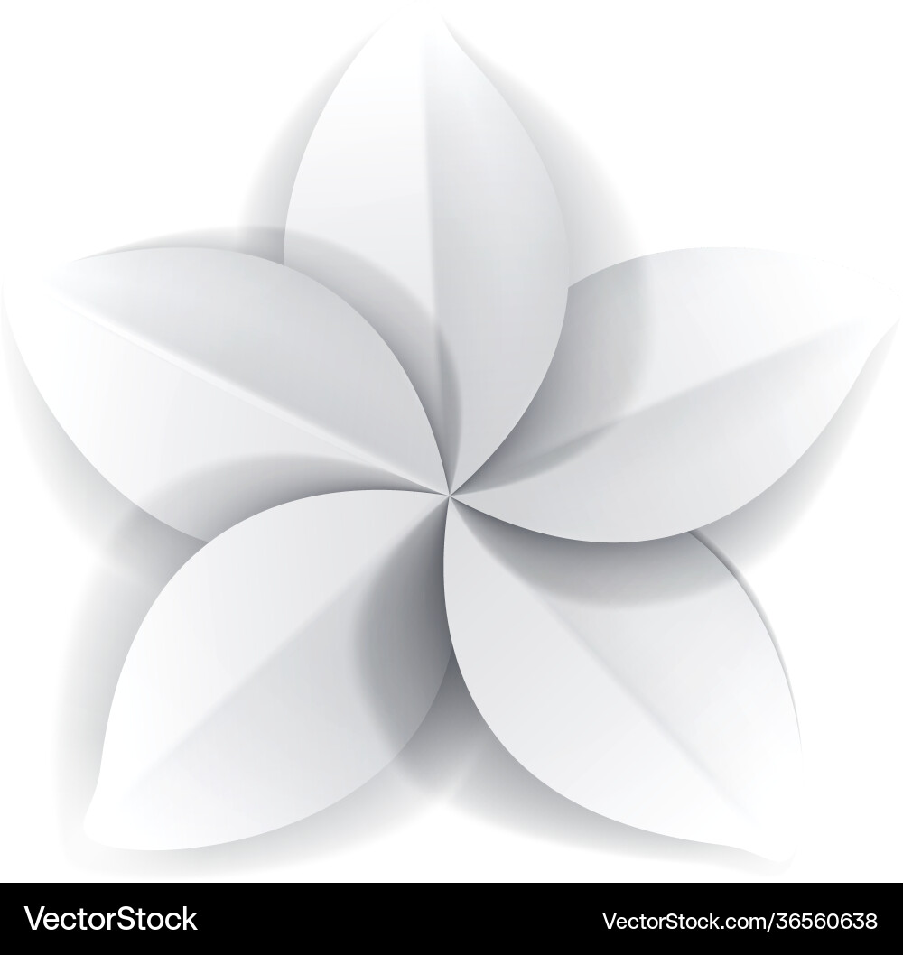 Beautiful paper flower composition Royalty Free Vector Image