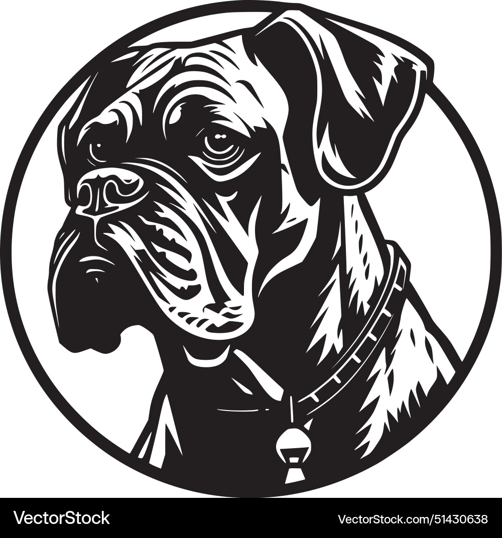 Boxer - black and white Royalty Free Vector Image