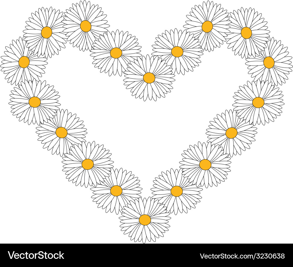 Daisy heart Royalty Free Vector Image - VectorStock