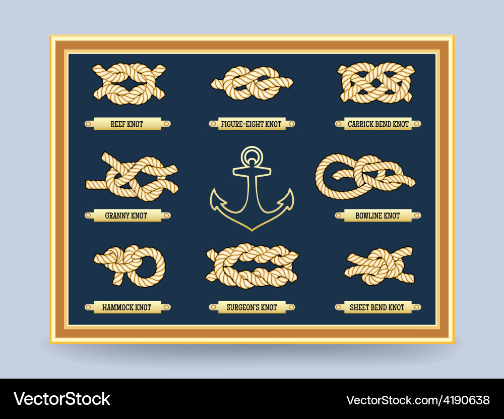 Nautical Knot Collection Royalty Free Vector Image