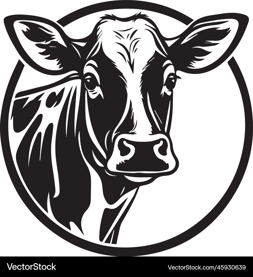 Black Angus Logo Black Angus Cow Logo Design Template Graphic By