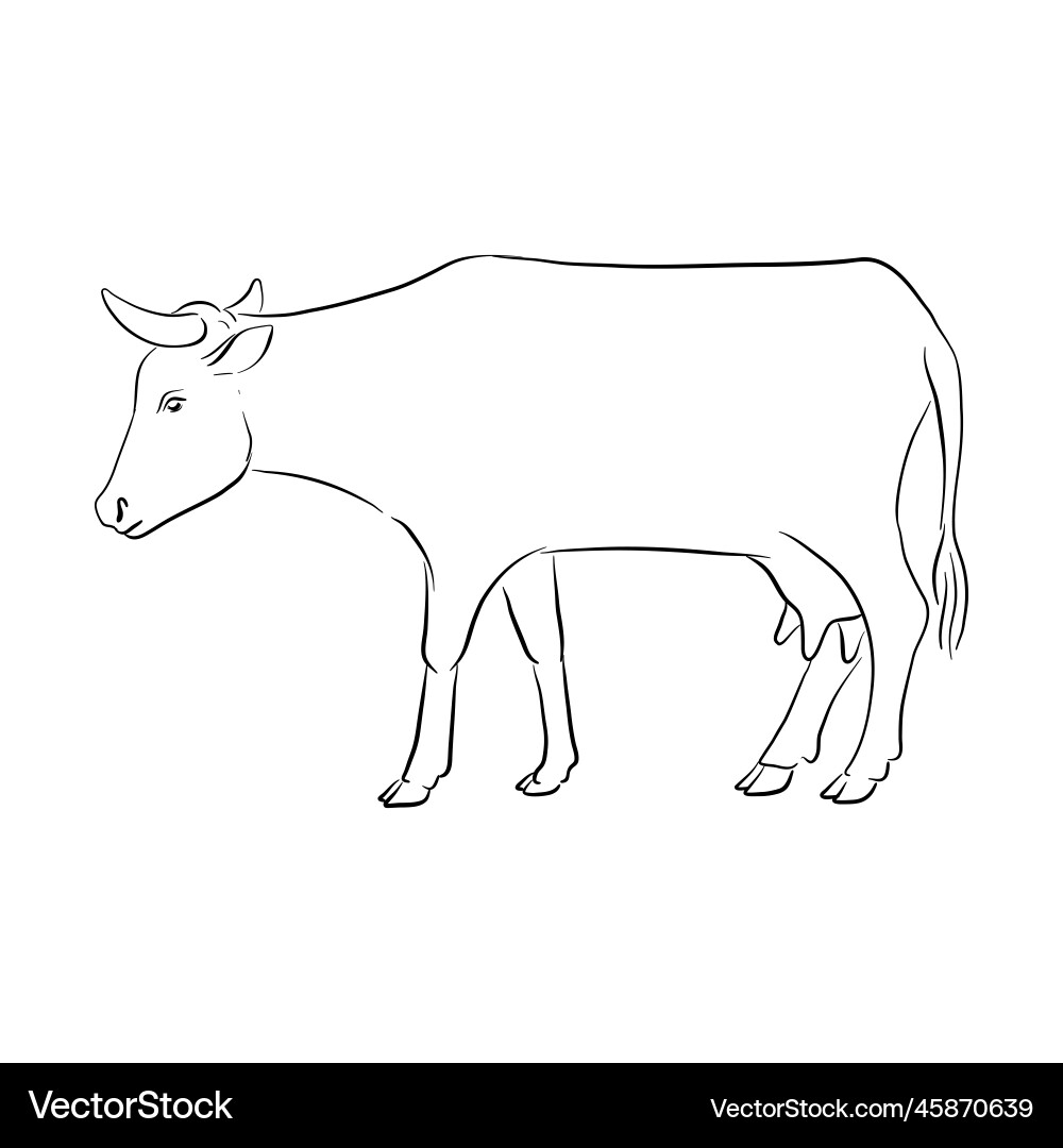 Drawing cow domestic animal Royalty Free Vector Image