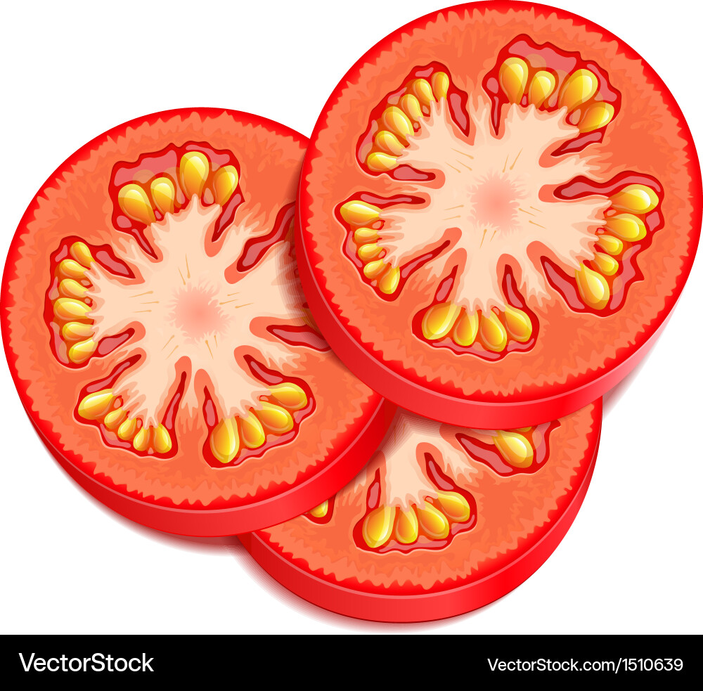 Slice of tomato Royalty Free Vector Image - VectorStock