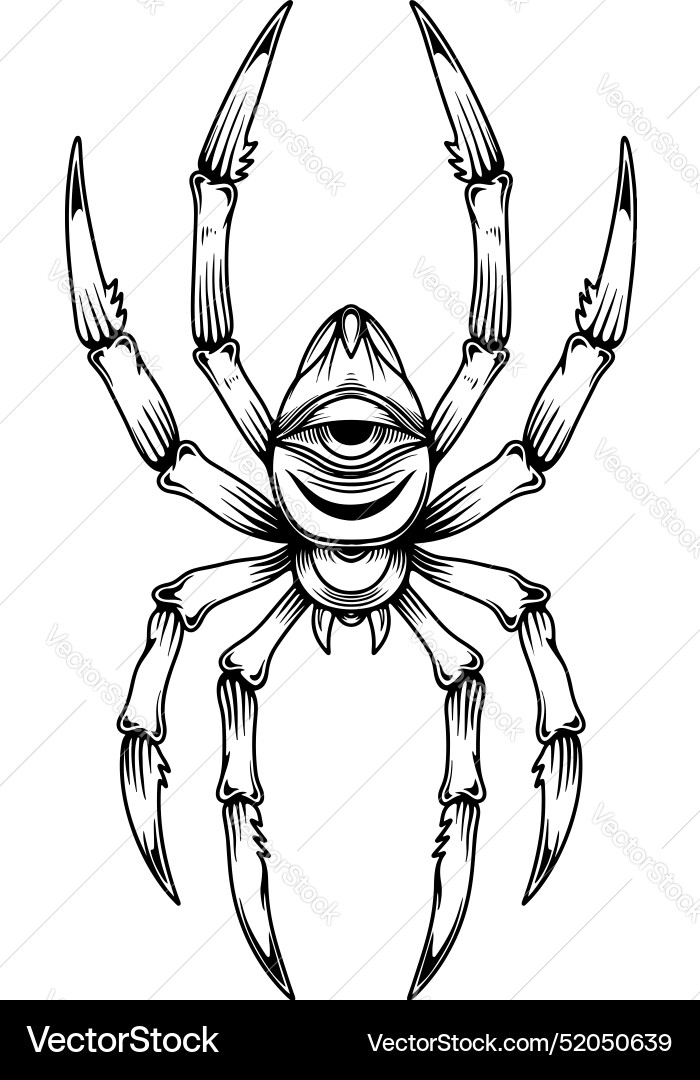 Tattoo style spider design element Royalty Free Vector Image