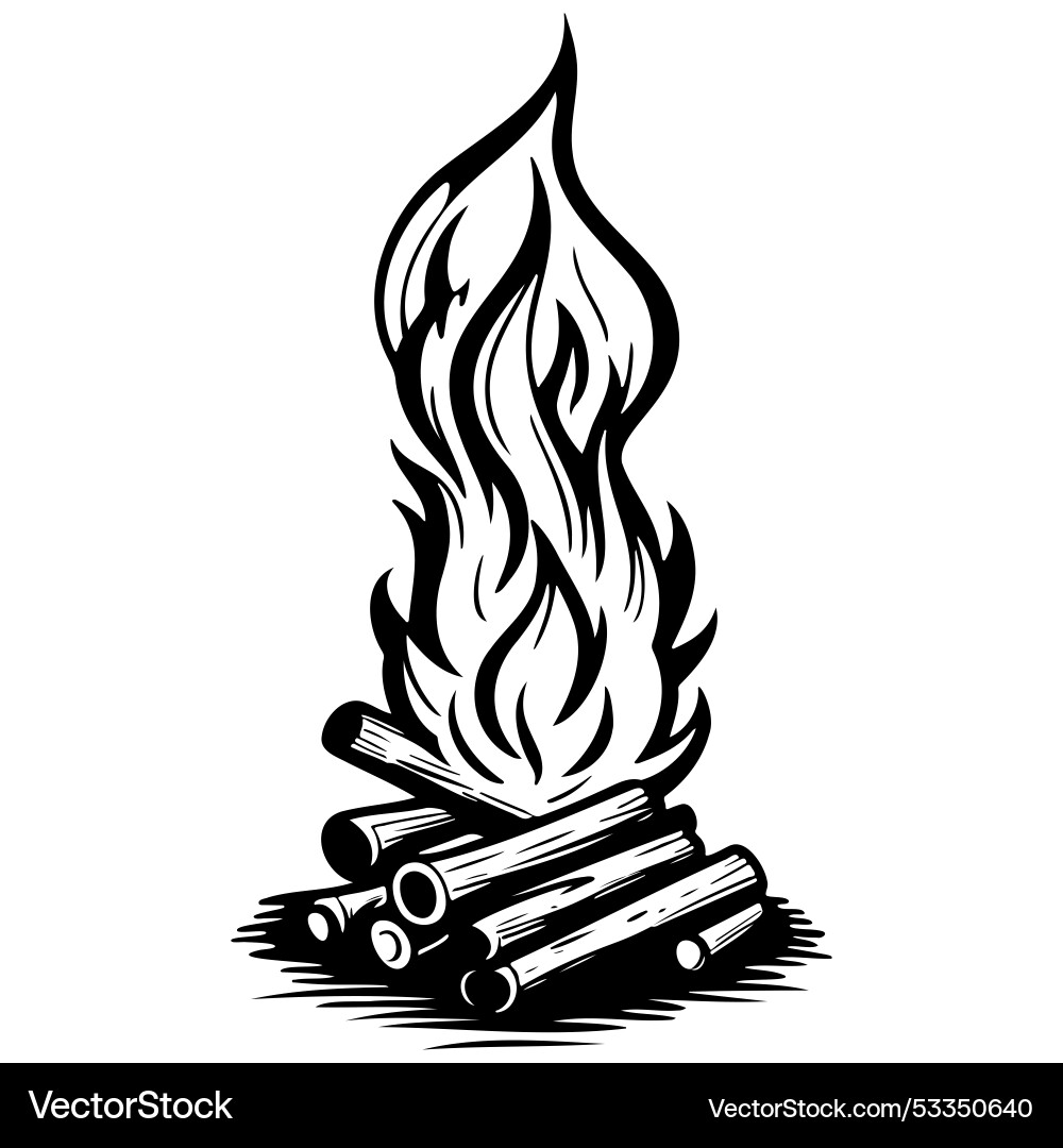 Monochrome camp fire drawing black line isolated Vector Image