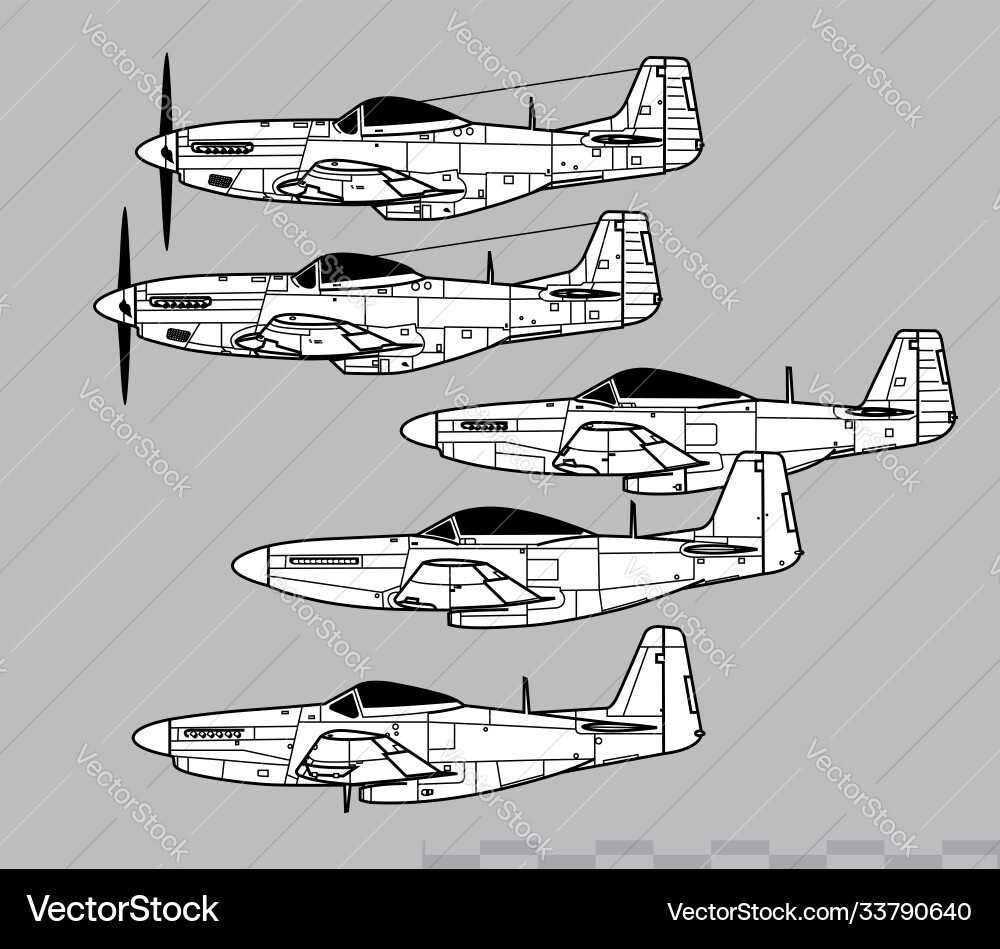 North american p-51 mustang Royalty Free Vector Image