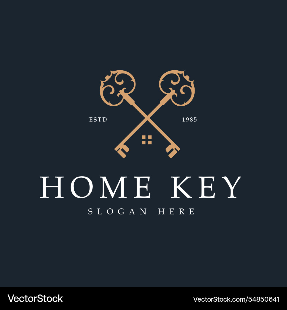Home security design simple lock logo crossed Vector Image