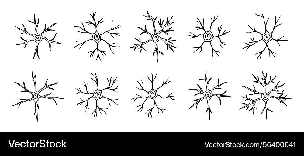 Neurons or neuron cells doodle hand drawn icon set