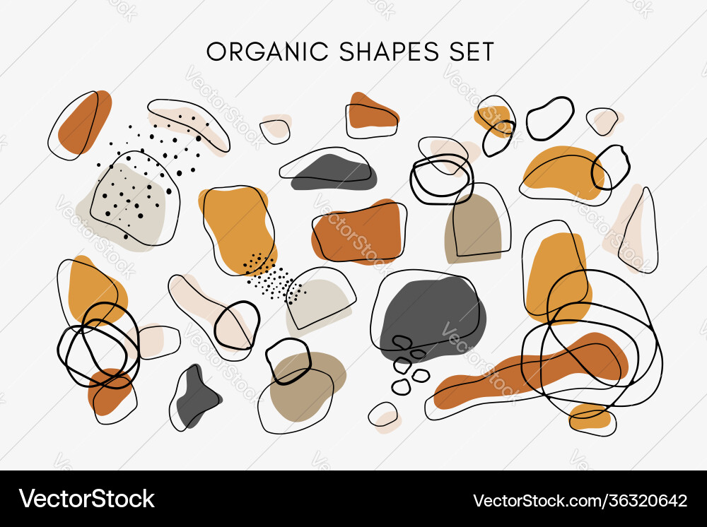 Organic Abstract Shapes Set Royalty Free Vector Image