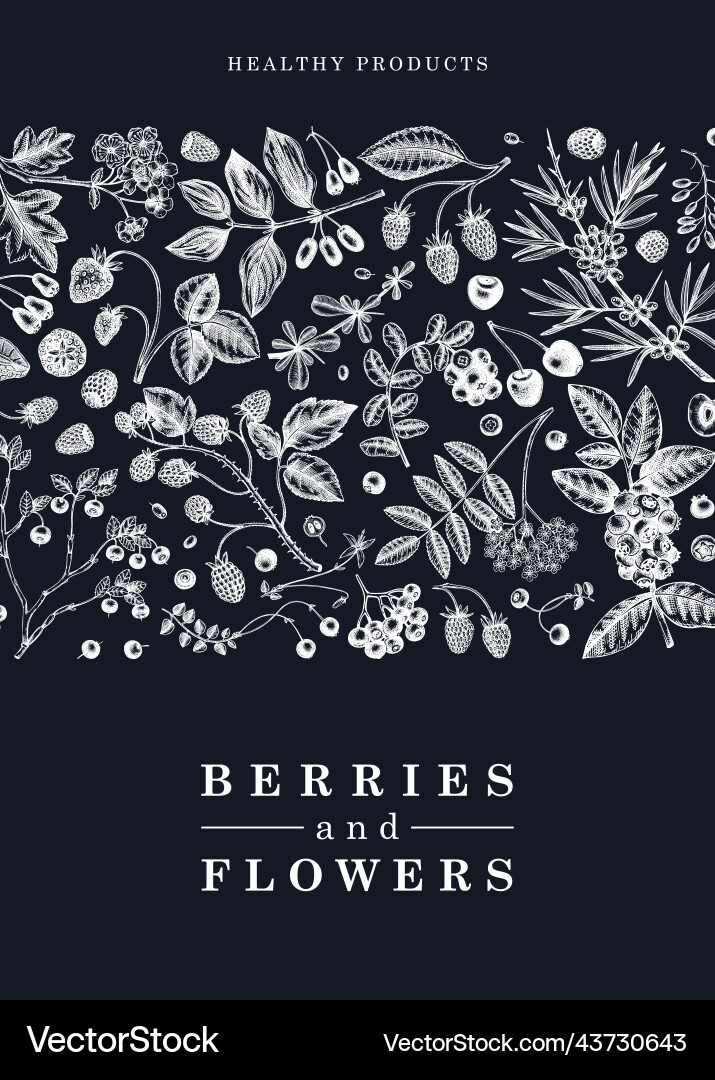 Wild berries card or invitation on chalkboard Vector Image