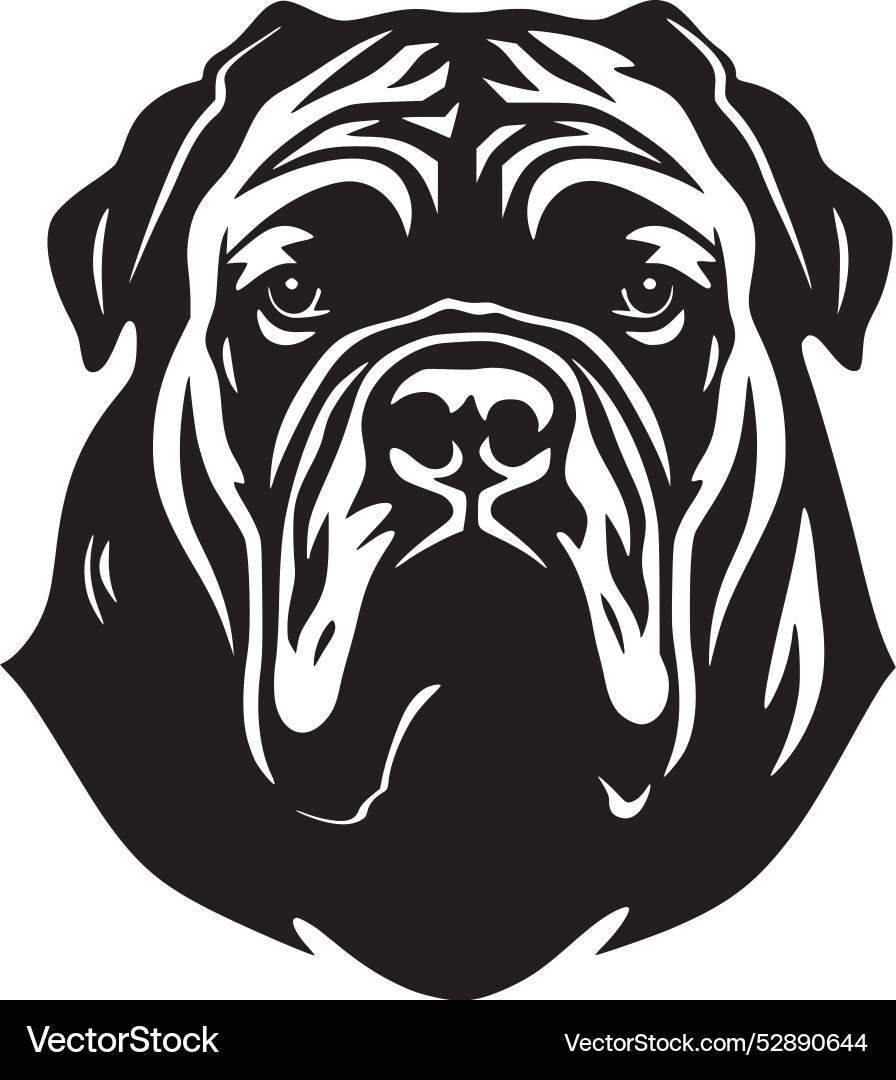 Cane corso - black and white isolated icon Vector Image