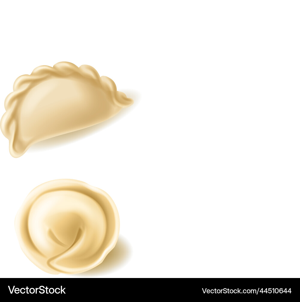 Diverse Dumpling Collection Royalty Free Vector Image