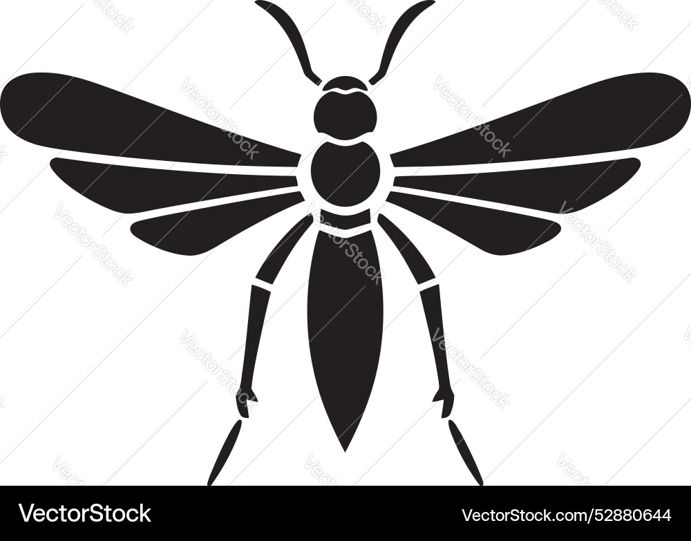 Eco Friendly Stick Insect Art Stick Insect Line Vector Image