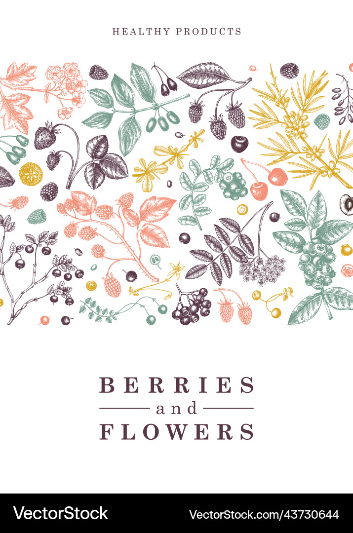 Wild berries card or invitation in engraved style Vector Image