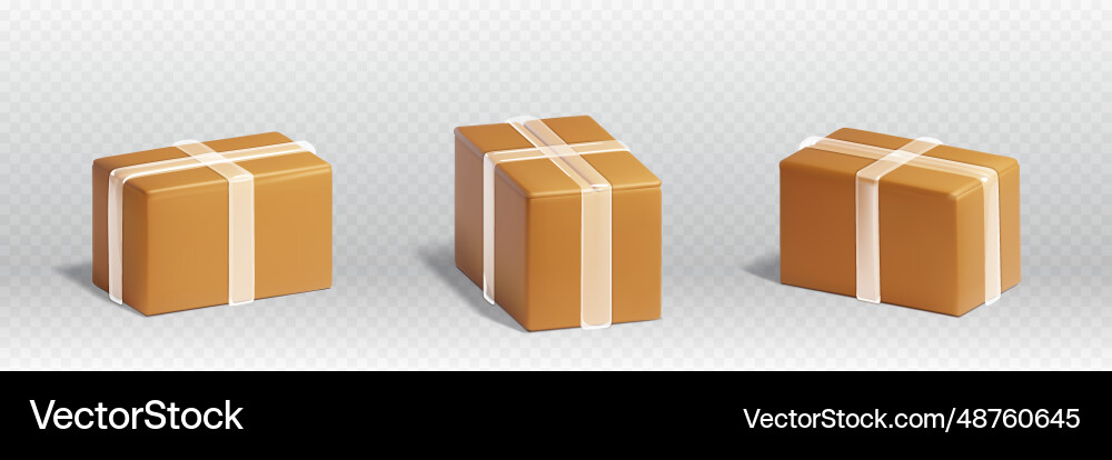 3d delivery cardboard box package carton parcel Vector Image