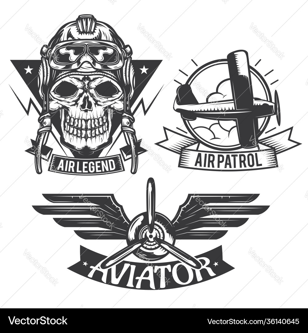 Set aircraft emblems labels badges logos Vector Image
