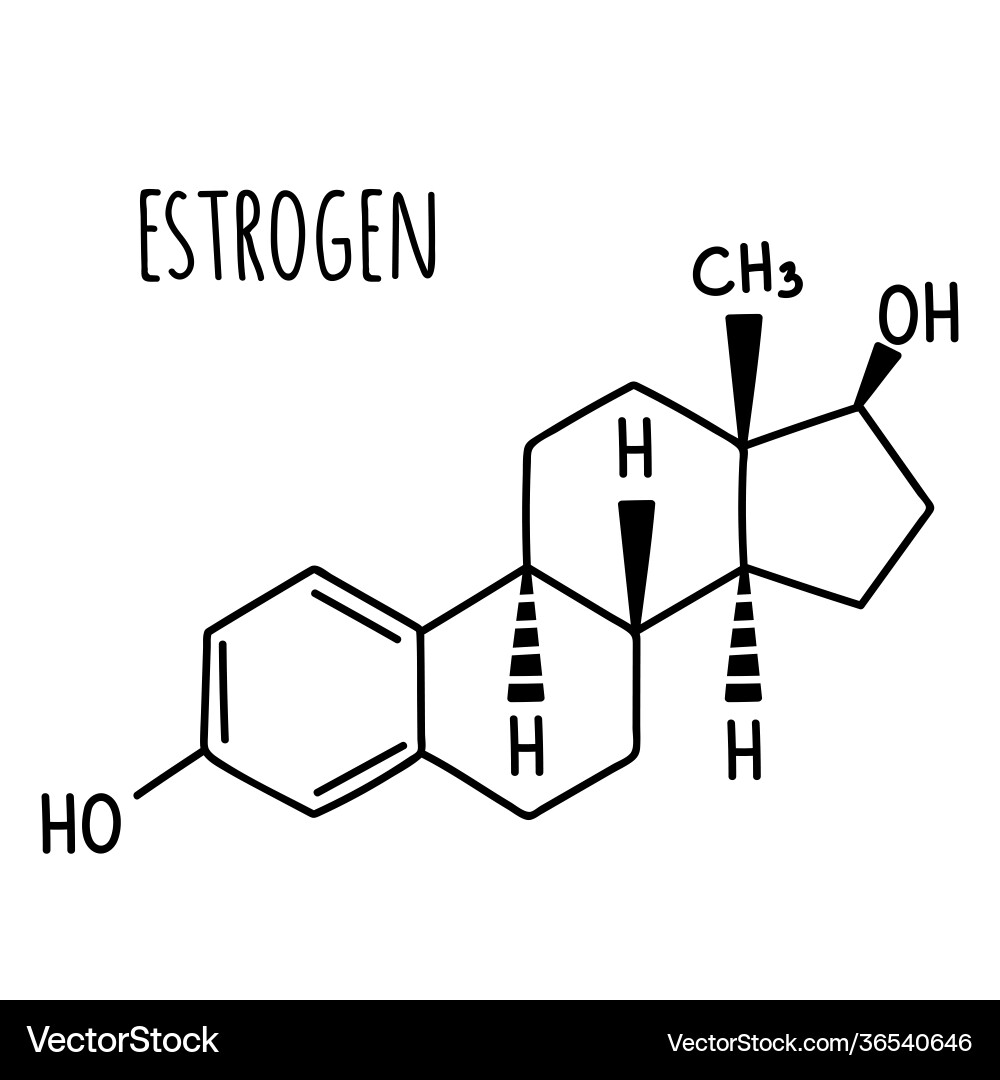 Estrogen Molecule