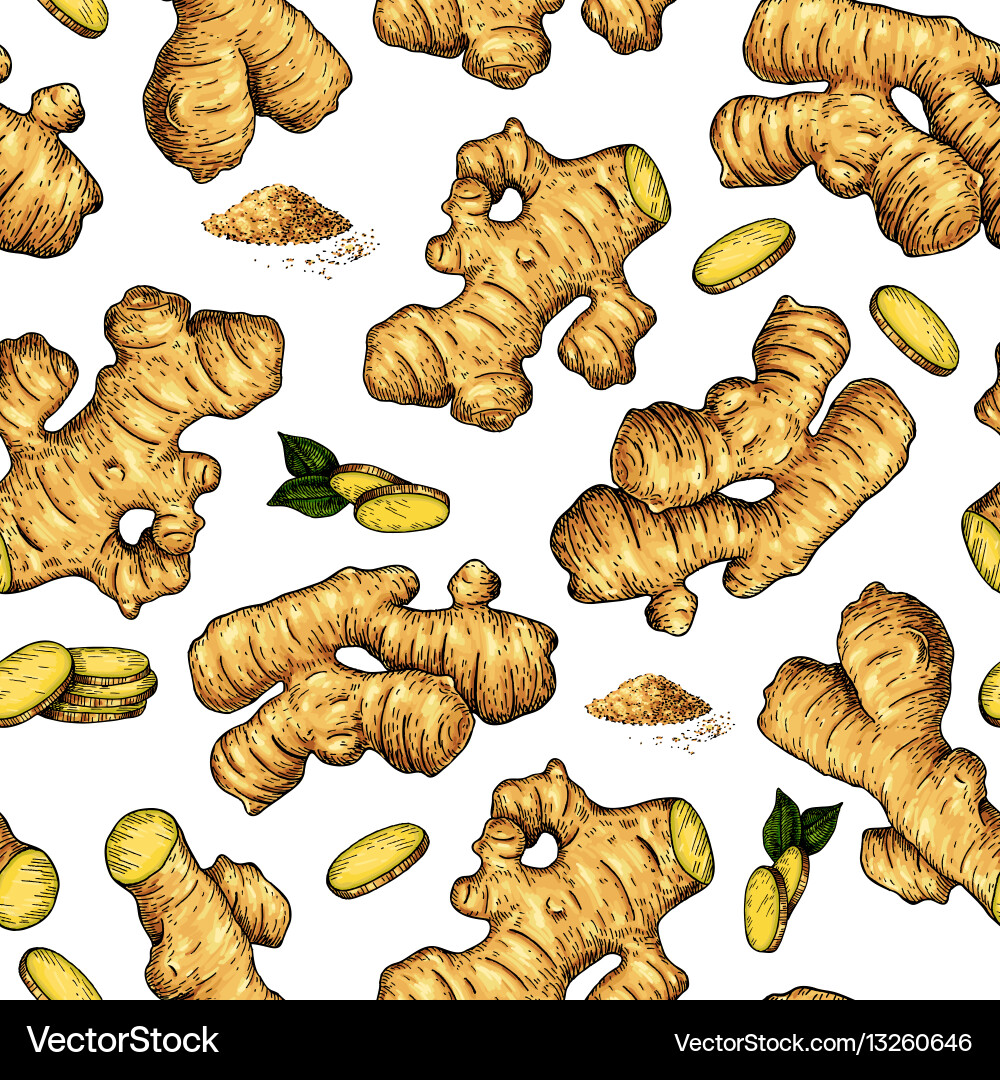 Ginger seamless hand drawn pattern root Royalty Free Vector