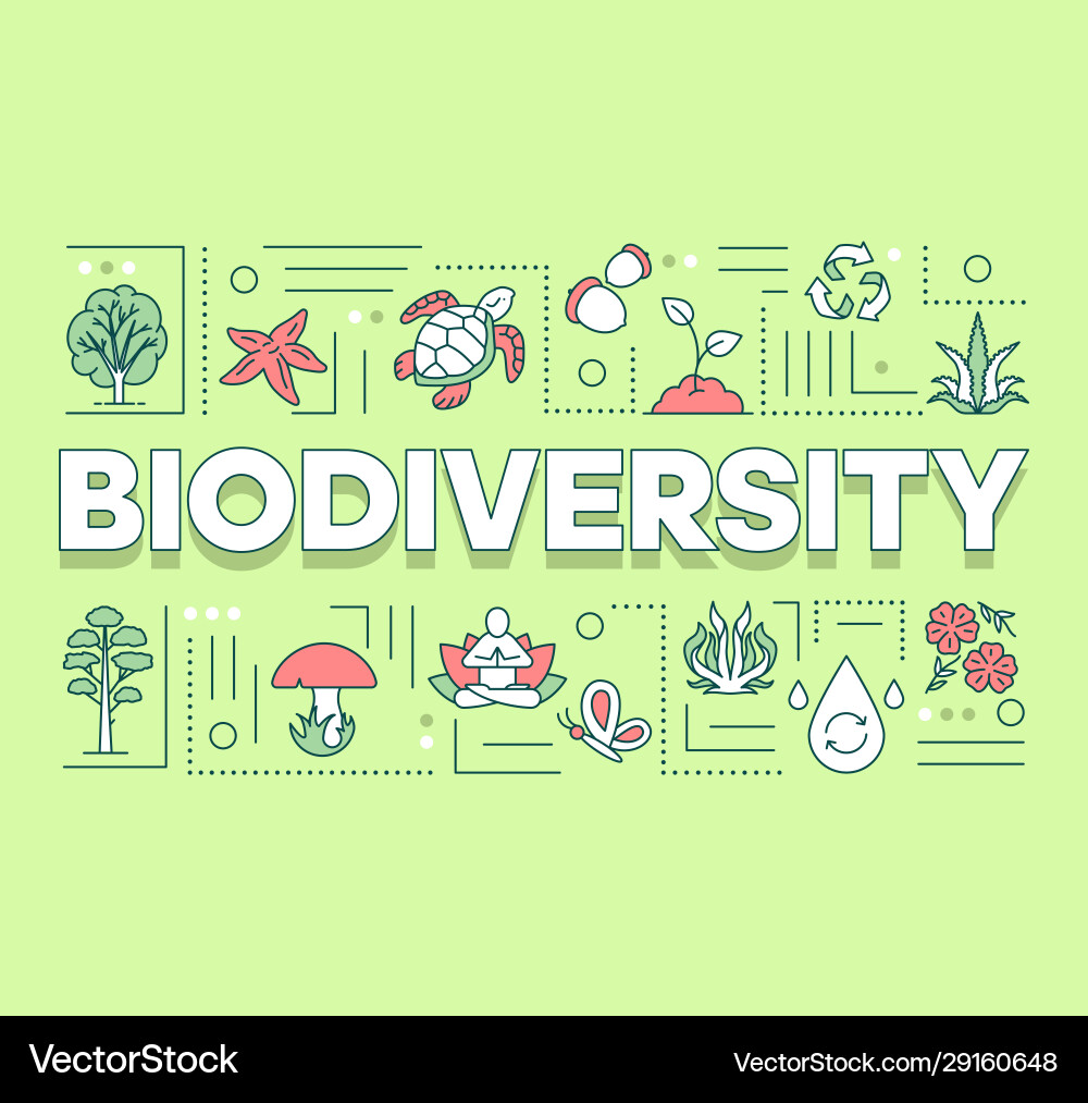 Biodiversity word concepts banner forest reserve Vector Image