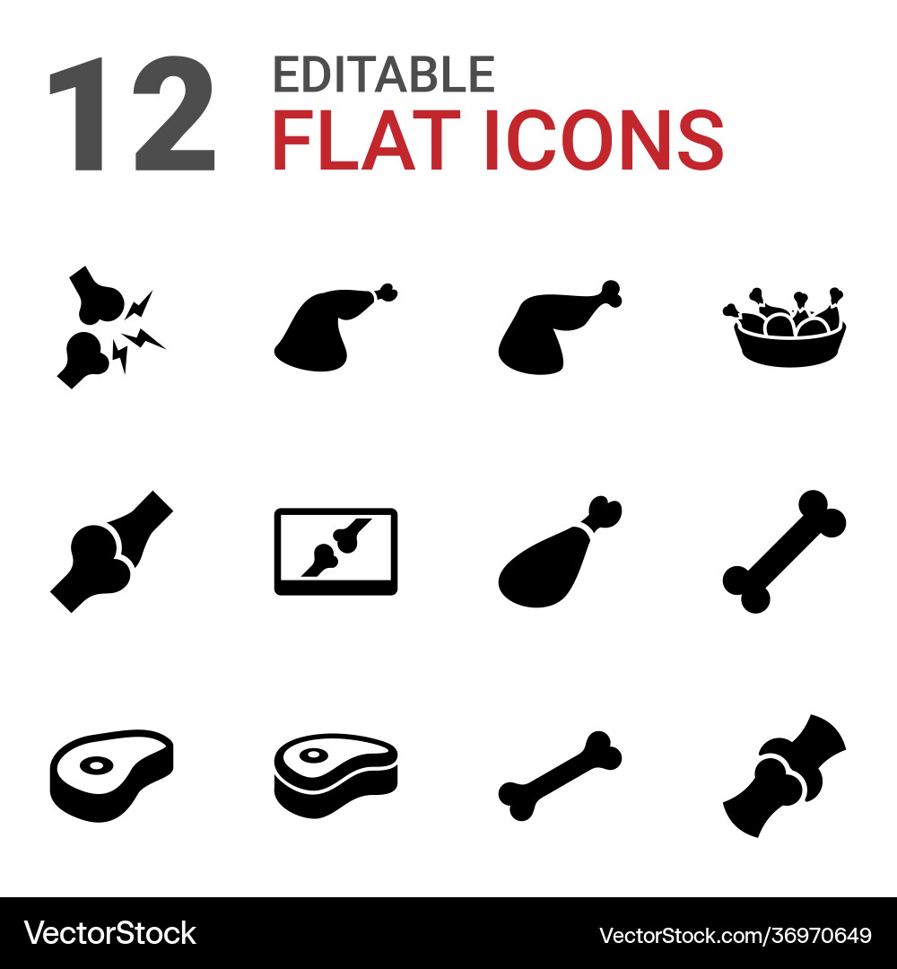 12 bone icons Royalty Free Vector Image - VectorStock