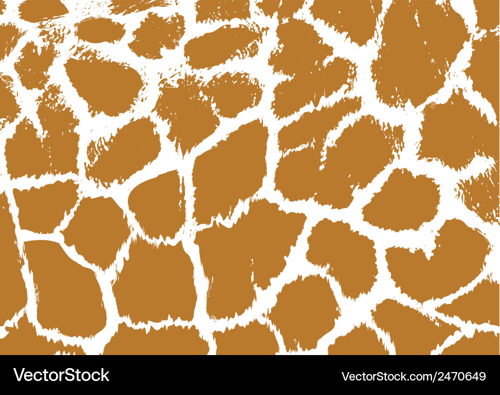 Giraffe skin Royalty Free Vector Image - VectorStock