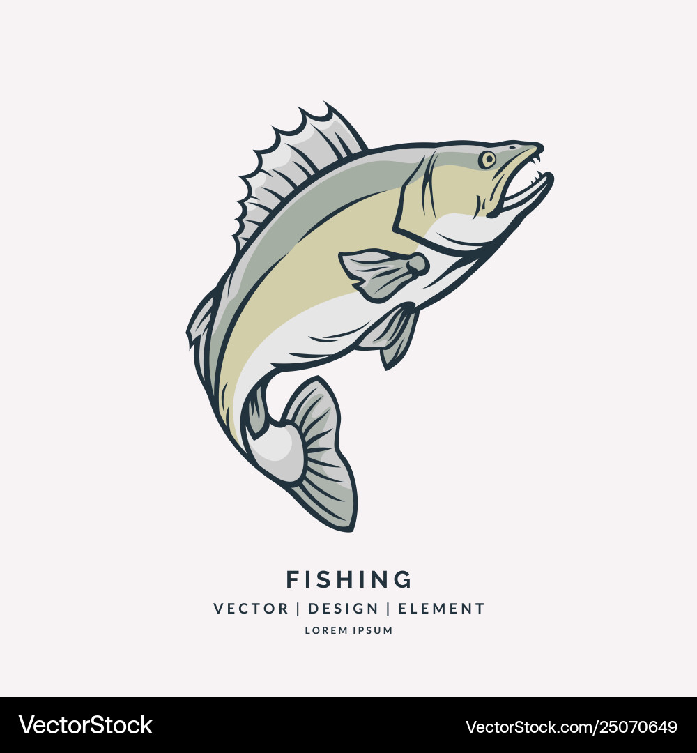 Jumping Zander Fish Royalty Free Vector Image - VectorStock
