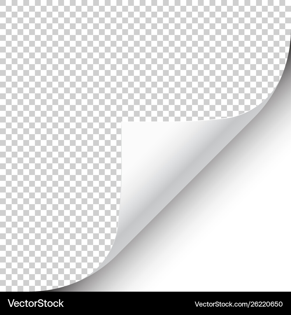 Curled page corner with shadow on transparent Vector Image
