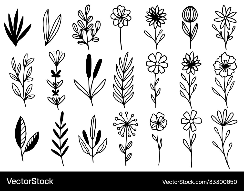 Hand-Drawn Floral Doodle Set Royalty Free Vector Image