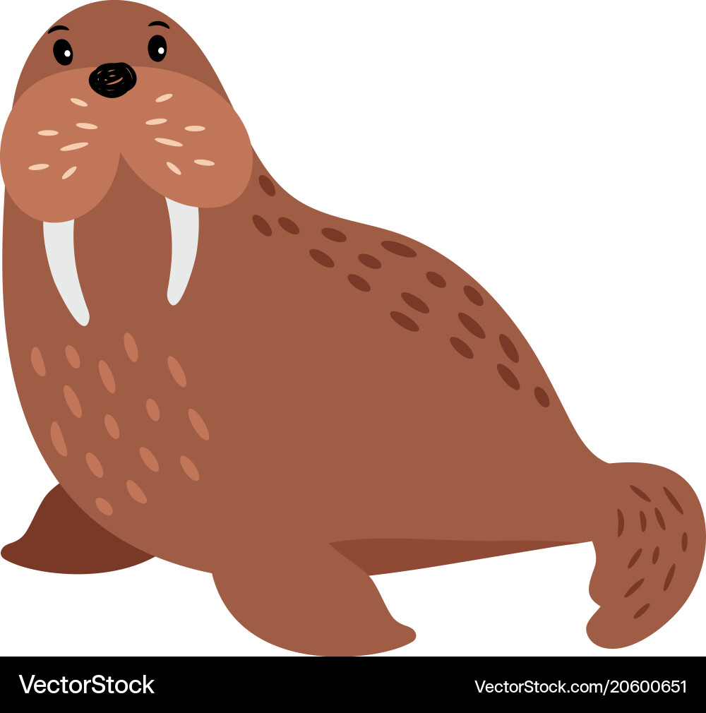 Cute Fat Walrus Vector Images (over 310)