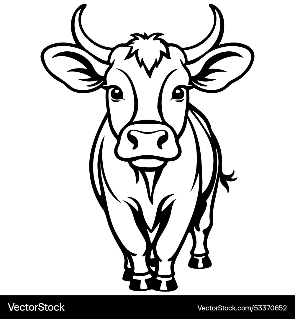 Cow ink hand drawn line transparent background Vector Image