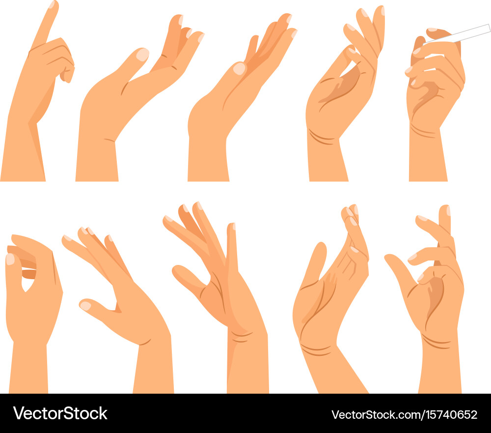 Hand gestures in different positions Royalty Free Vector