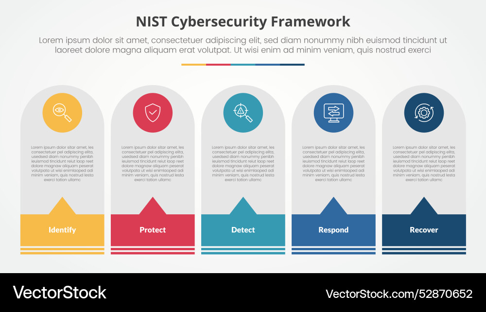 Nist cybersecurity framework infographic concept Vector Image
