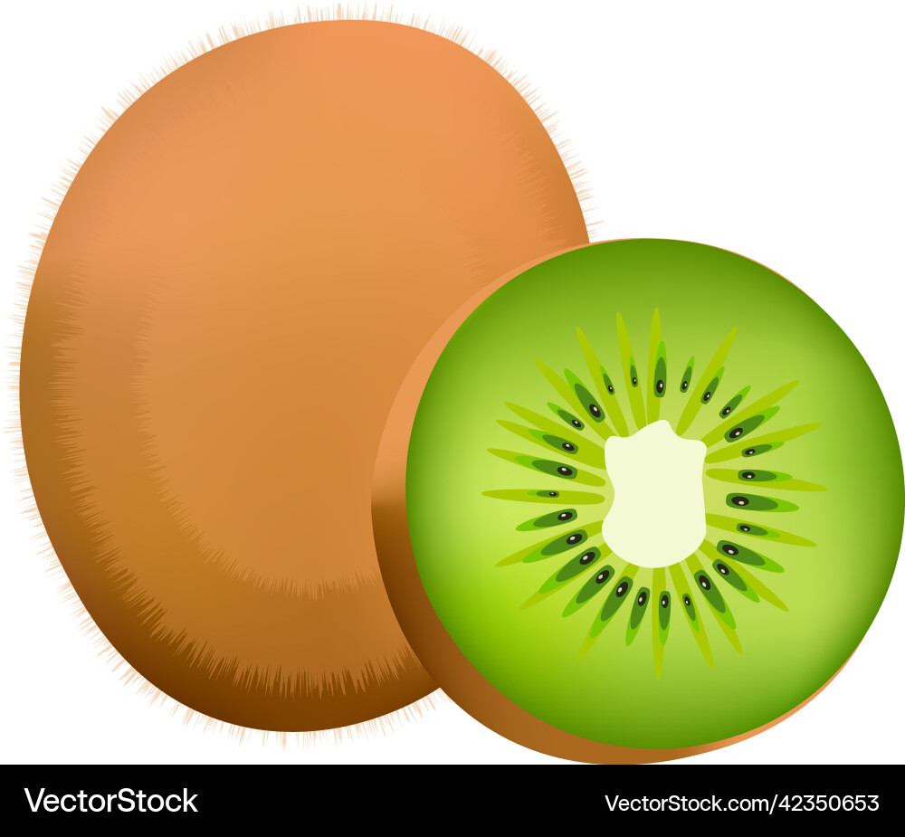 Kiwi set Royalty Free Vector Image - VectorStock