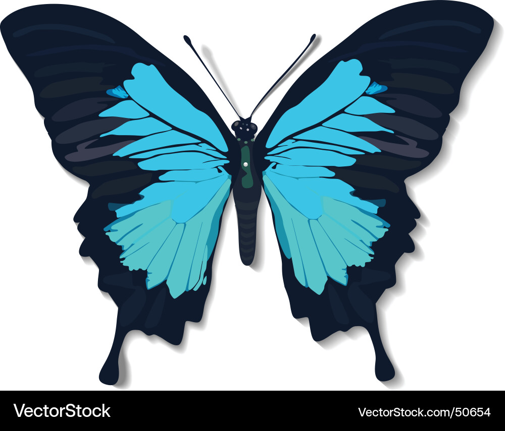 Butterfly Royalty Free Vector Image - VectorStock