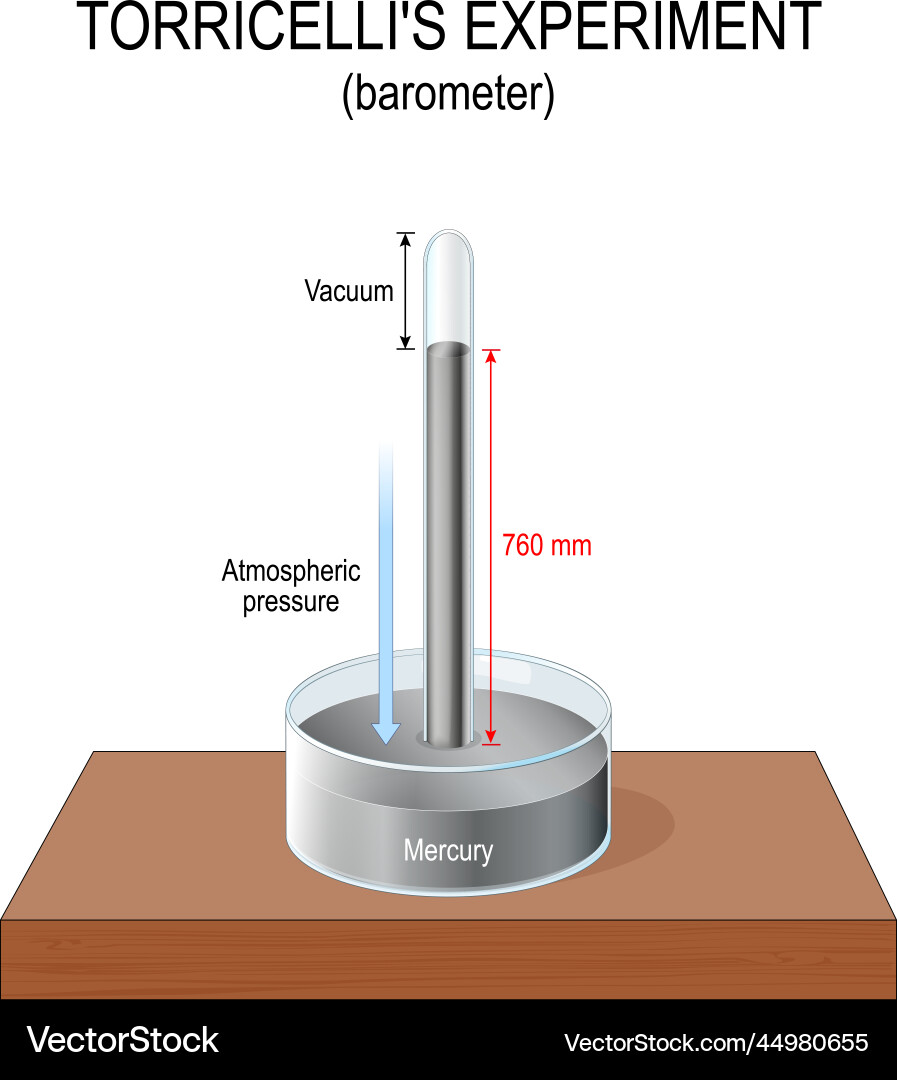 Barometer torricelli experiment with mercury Vector Image