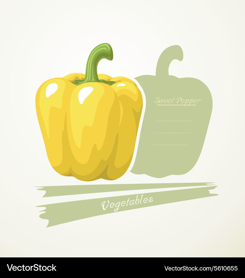 Sweet pepper Royalty Free Vector Image - VectorStock