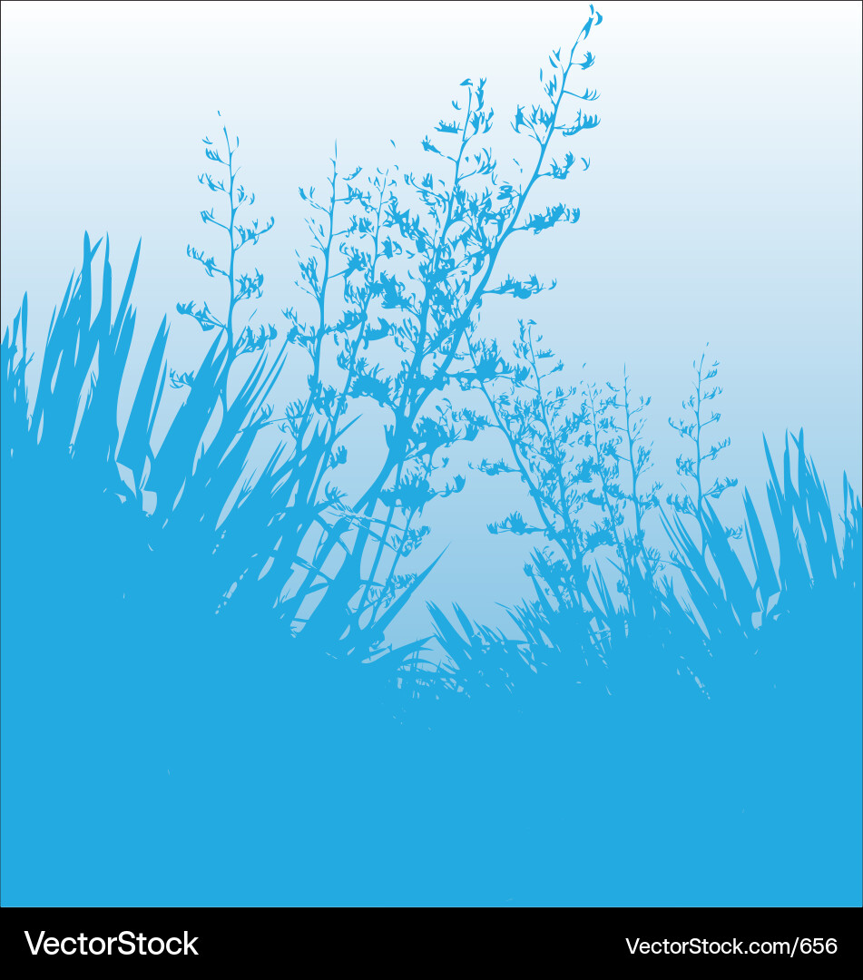 Blue Flax – New Zealand Native Royalty Free Vector