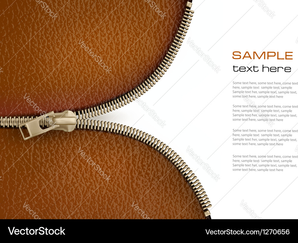 Brown leather texture background with zipper Vector Image