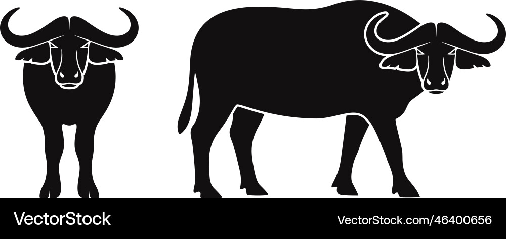 Buffalo Royalty Free Vector Image - VectorStock