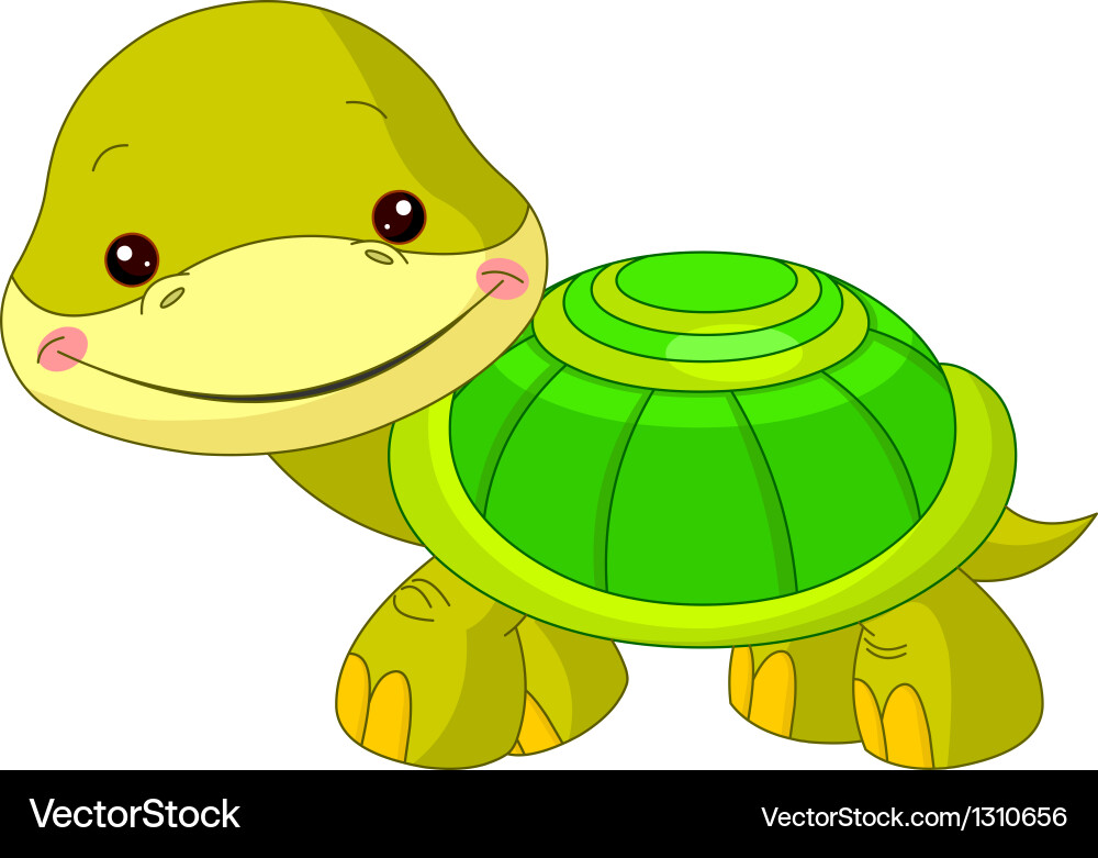 Fun zoo turtle Royalty Free Vector Image - VectorStock