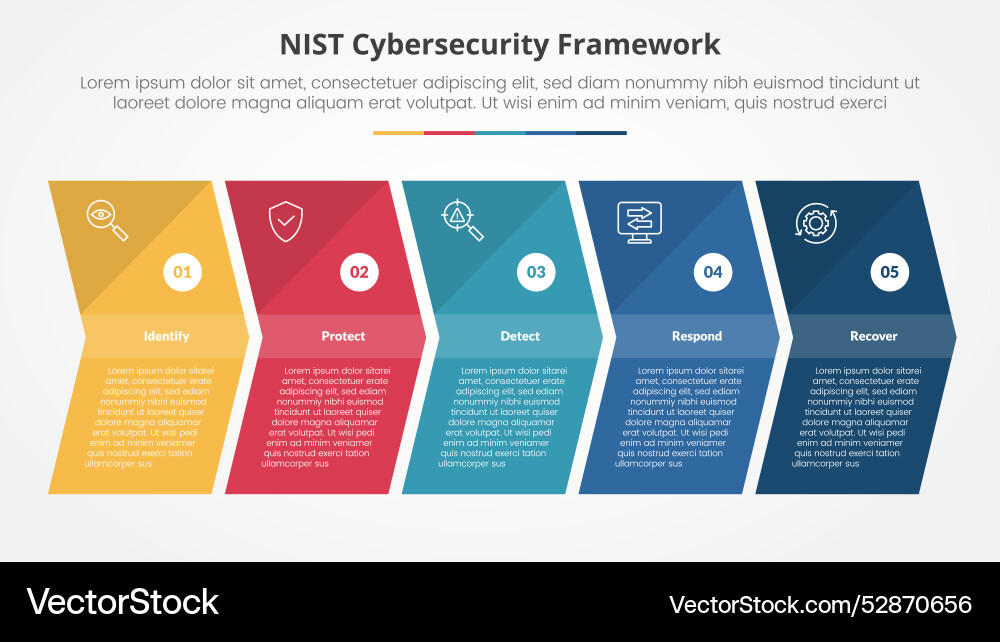 Nist cybersecurity framework infographic concept Vector Image