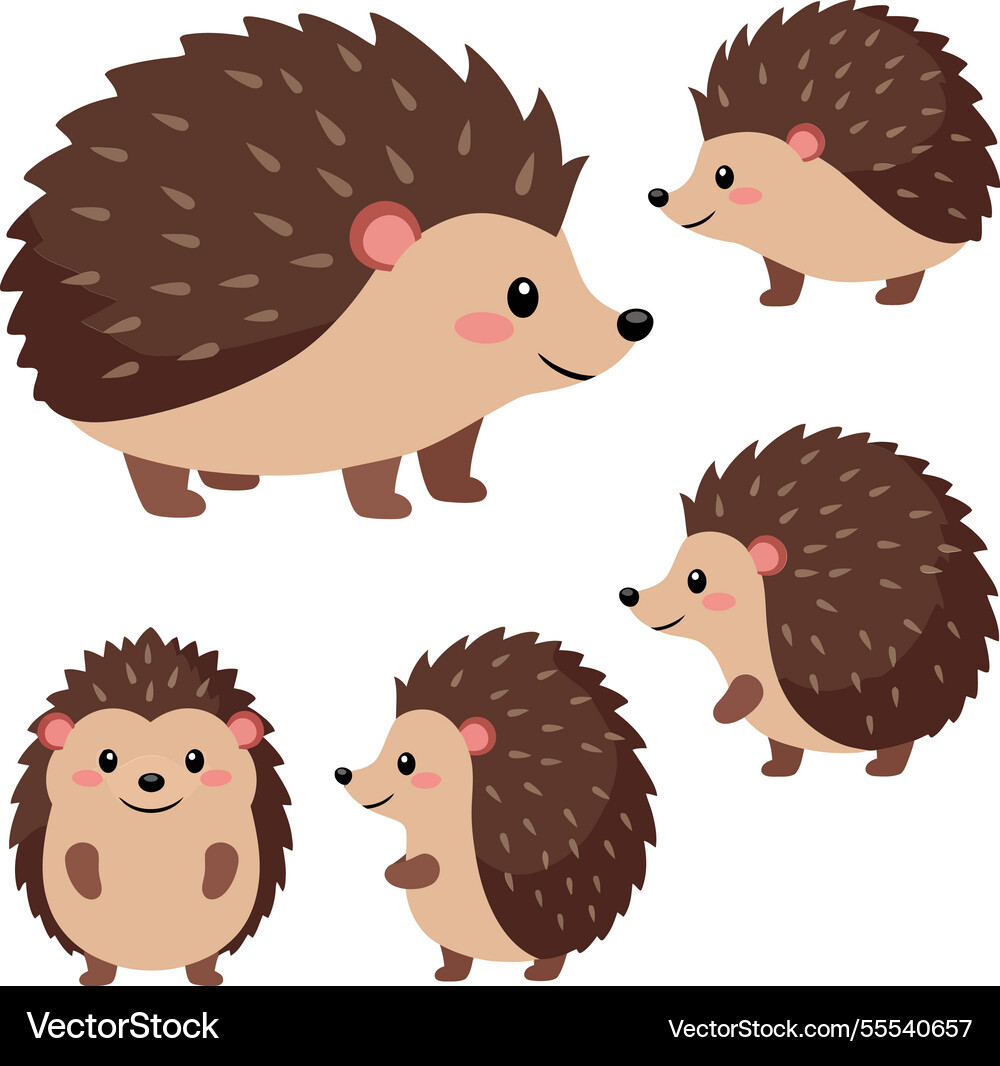 Cute hedgehogs in various poses with flat design Vector Image